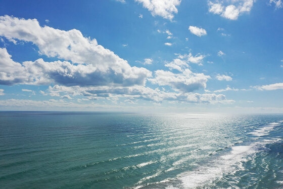 Sand Rose Beach Resort: Pool & Spa Day Pass South Padre Island | ResortPass