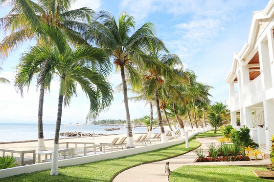 Alaia Belize, Autograph Collection: Pool & Spa Day Pass San Pedro ...