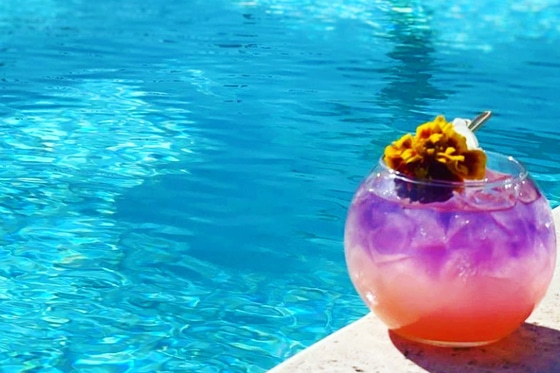 Hotel Indigo Spring - Woodlands Area: Pool & Spa Day Pass Houston ...