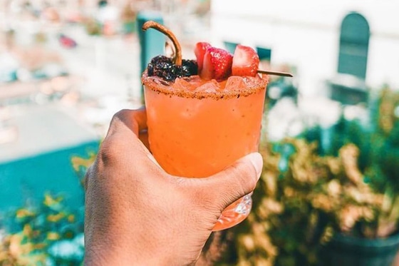 Hotel Indigo Spring - Woodlands Area: Pool & Spa Day Pass Houston ...