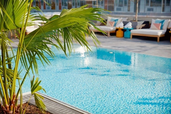 The William Vale : Pool & Spa Day Pass New York | ResortPass