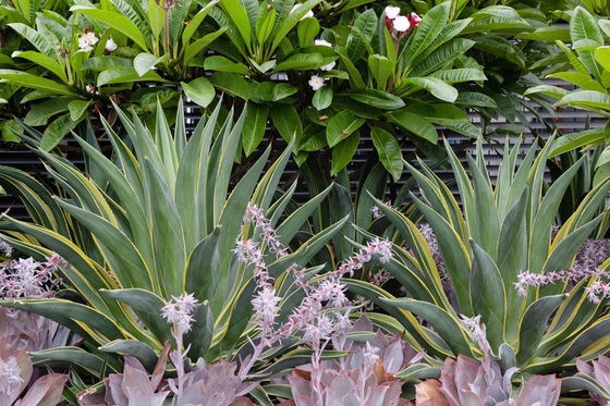 The Godfrey Hotel Hollywood: Pool & Spa Day Pass Los Angeles | ResortPass