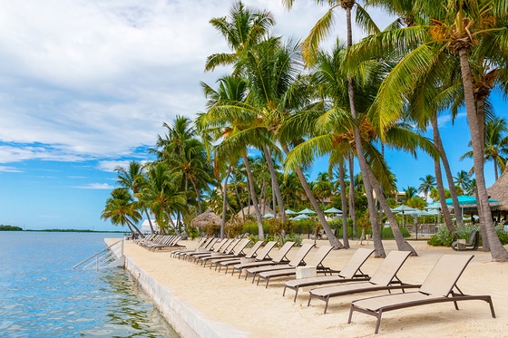 Amara Cay Resort: Pool & Spa Day Pass Islamorada | ResortPass