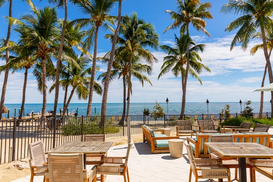 Amara Cay Resort: Pool & Spa Day Pass Islamorada | ResortPass