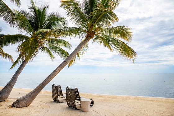 Amara Cay Resort: Pool & Spa Day Pass Islamorada | ResortPass