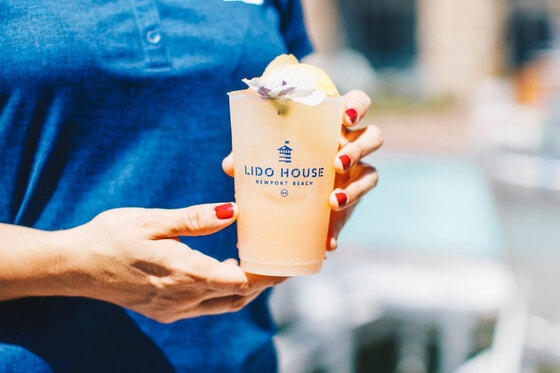 Lido House, Autograph Collection: Pool & Spa Day Pass Newport Beach ...