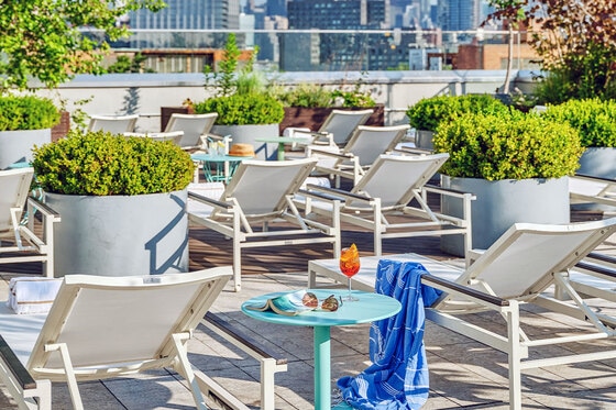 The William Vale : Pool & Spa Day Pass New York | ResortPass