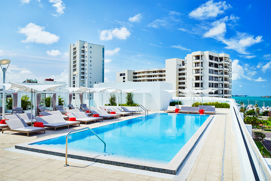 Art Ovation Hotel, Autograph Collection: Pool & Spa Day Pass Sarasota ...