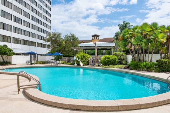 Hilton Tampa Airport Westshore: Pool & Spa Day Pass Tampa | ResortPass