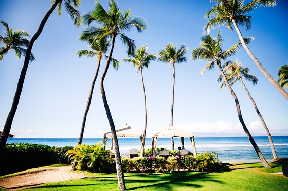 Hyatt Regency Maui Resort And Spa: Pool & Spa Day Pass Lahaina | ResortPass