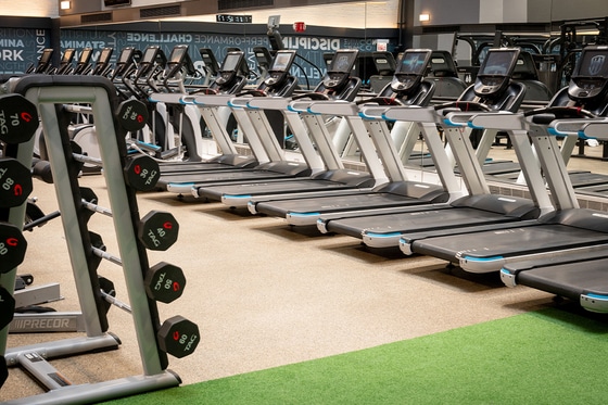 Palmer House, a Hilton Hotel: Pool & Spa Day Pass Chicago | ResortPass