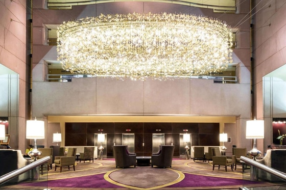 Hilton Houston Post Oak by the Galleria: Pool & Spa Day Pass Houston ...