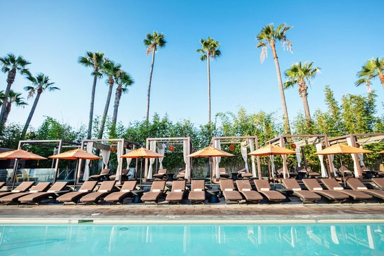 Hotel Maya : Pool & Spa Day Pass Long Beach | ResortPass