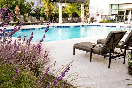 The Westin Austin at The Domain: Pool & Spa Day Pass Austin | ResortPass