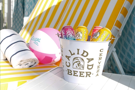 The Skylark, a Palm Springs Hotel: Pool & Spa Day Pass Palm Springs ...