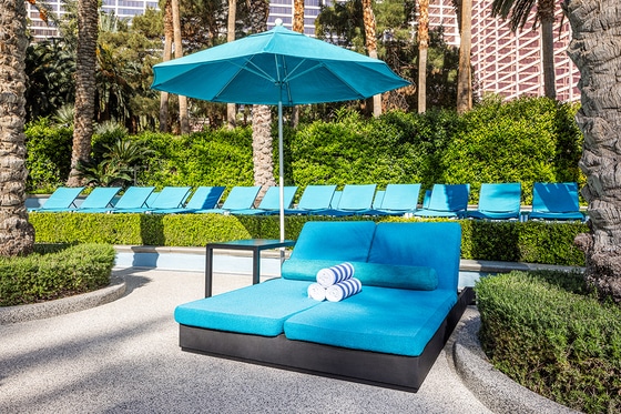 Flamingo Las Vegas: Pool & Spa Day Pass Las Vegas | ResortPass