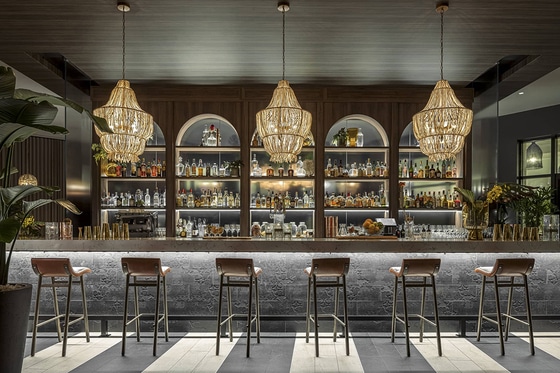 THesis Hotel Miami Coral Gables, Curio Collection by Hilton: Pool & Spa ...