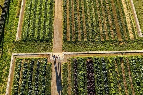 Southall Farm & Inn: Pool & Spa Day Pass Nashville | ResortPass