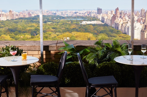 Park Lane Hotel New York: Pool & Spa Day Pass New York | ResortPass